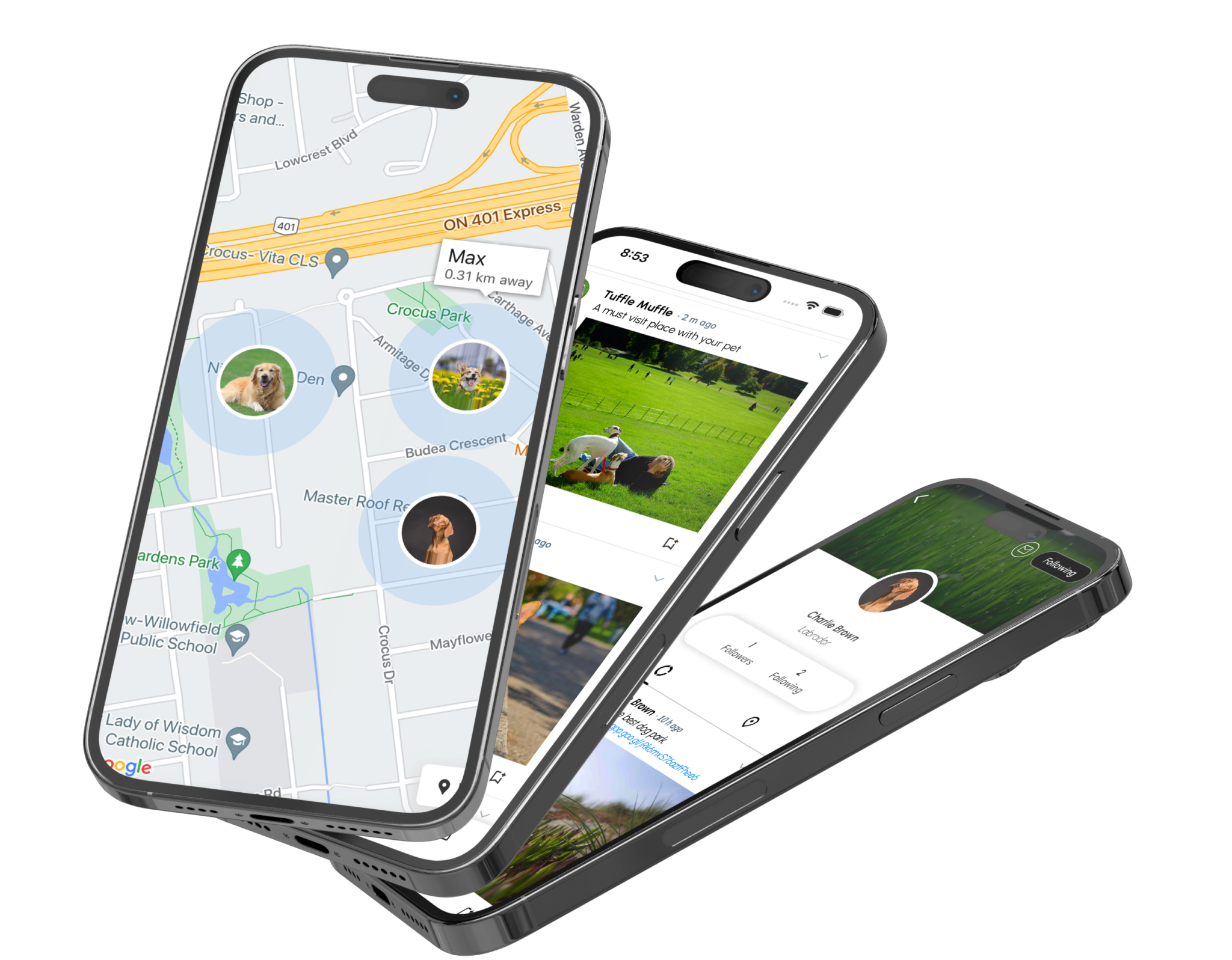 Contact us - Frendy App